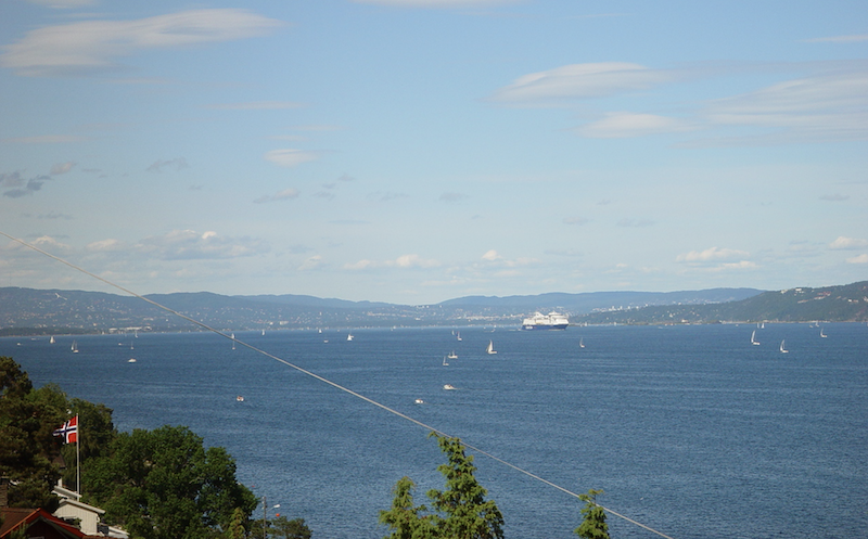 Vern ålegraset! Indre Oslofjord må avmotoriseres nå, skriver Rainer ...